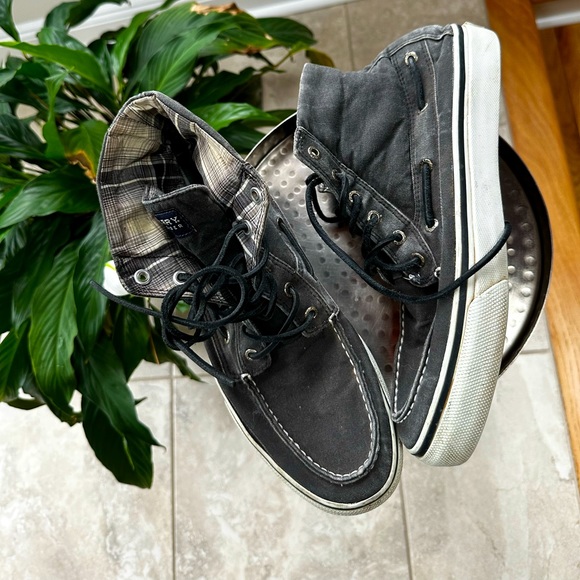 Sperry | Shoes | Mens Sperry Canvas High Top Sneakers | Poshmark